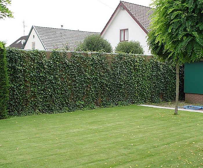 Greenscreen Garden Fencing - coconut fibre cladding, steel frame ...