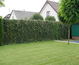 Greenscreen Garden Fencing - coconut fibre cladding, steel frame ...
