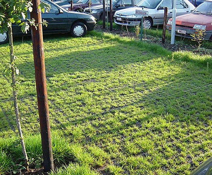 GF50 - low-density polyethylene ground reinforcement tiles | Images