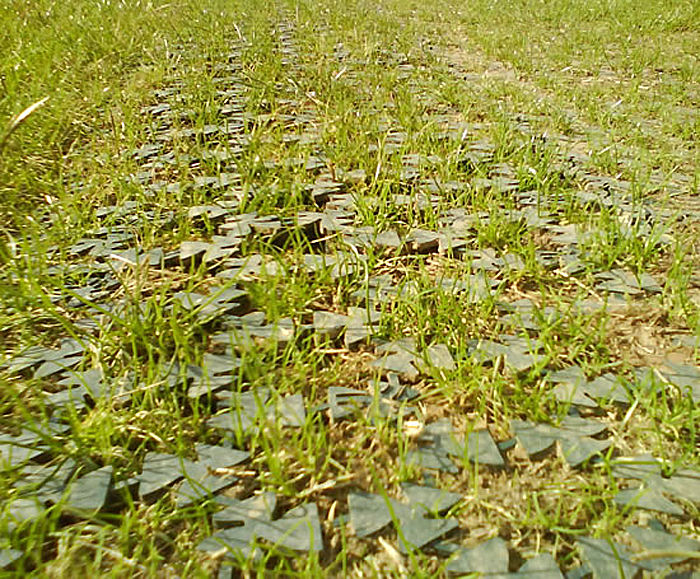 Park40 LDP ground reinforcement tile | Images