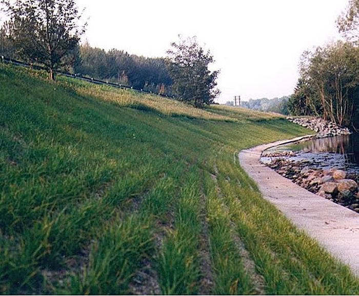 River embankment adjacent to the A484 Gresford, Wales | Images