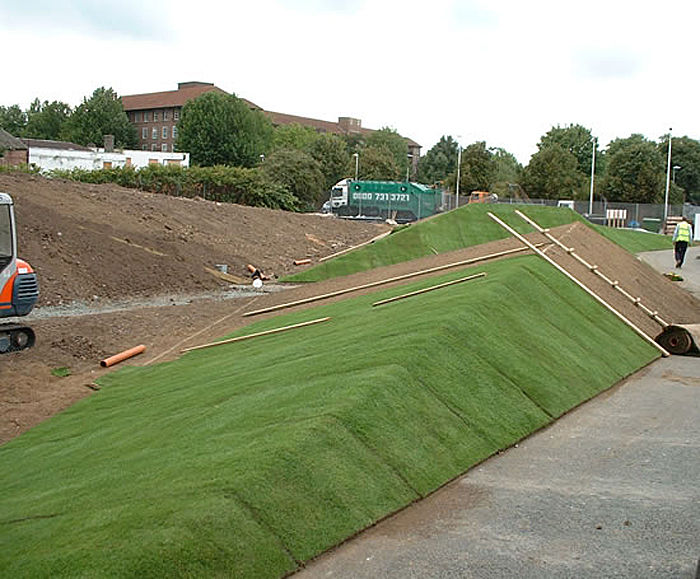 Images for Soil-less turf for angled landscape - Laban Dance Centre