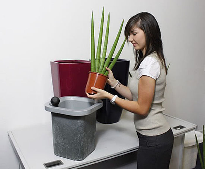 Water Cell planter irrigation system | Images