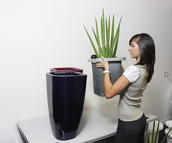 Water Cell planter irrigation system | Livingreen Design | ESI External ...