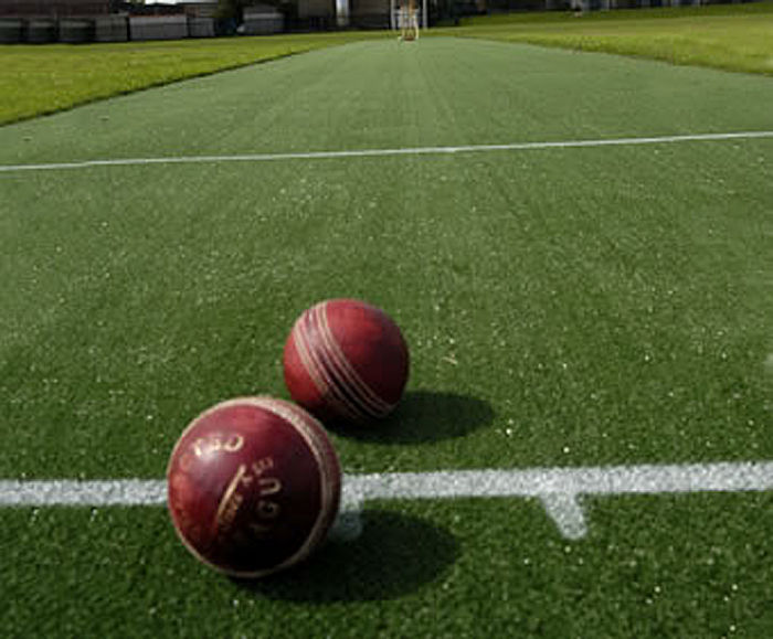 ECB Approved Artificial Cricket Systems | Images