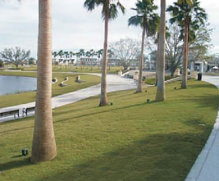 Images for Palm Tree Anchoring Systems - Plati-Mat