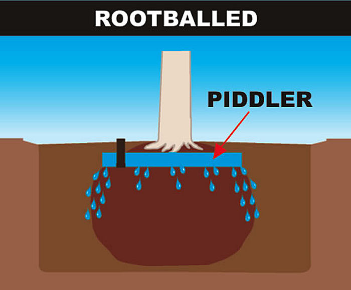 Images for Piddler® tree irrigation and aeration system