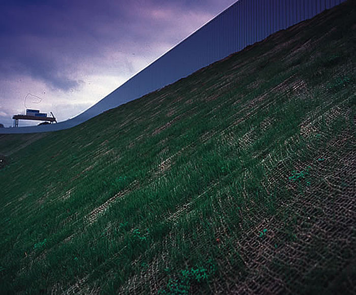 Wildflower and native grass hydroseeding, A417 | Images
