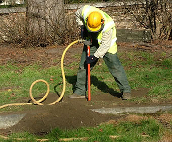 Images for Air Spade tree root investigation service