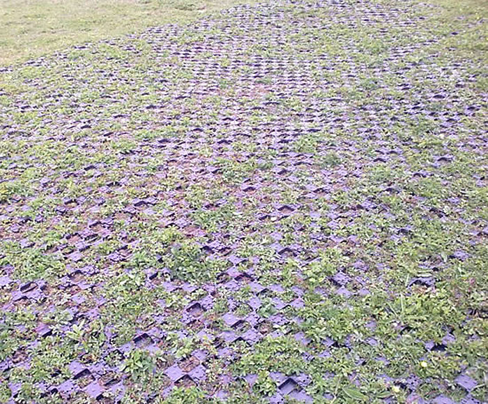 Images for PERFO-AK® anchor ground reinforcement mats