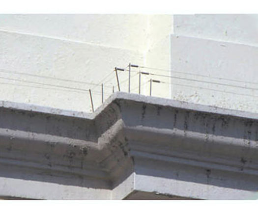 Spring wire humane bird control systems | Safeguard Pest Control