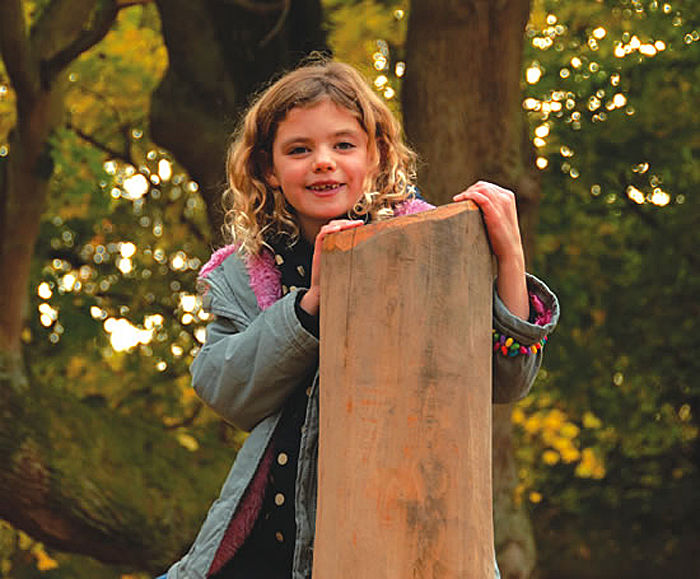 Images for Adventure playground, Castle Howard Estate, York